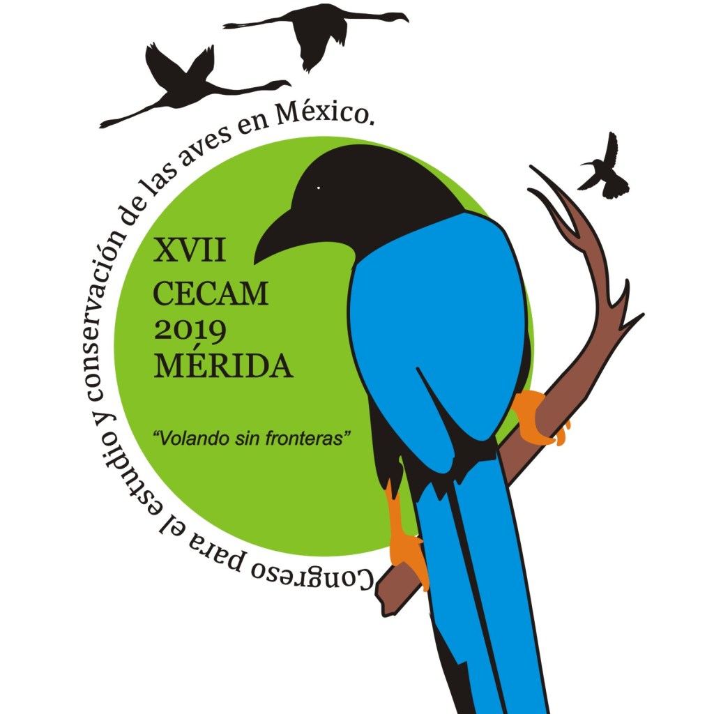 Congresos – CIPAMEX